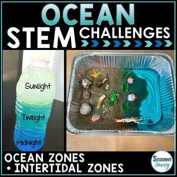 Ocean STEM Activities Challenges - Earth Science Oceanology Zones ...