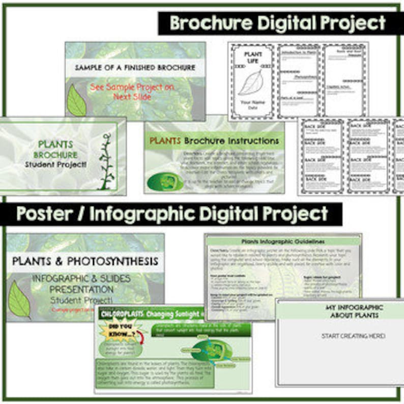 Photosynthesis Projects Google Classroom - Etsy