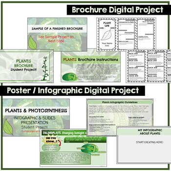 Photosynthesis Projects Google Classroom - Etsy