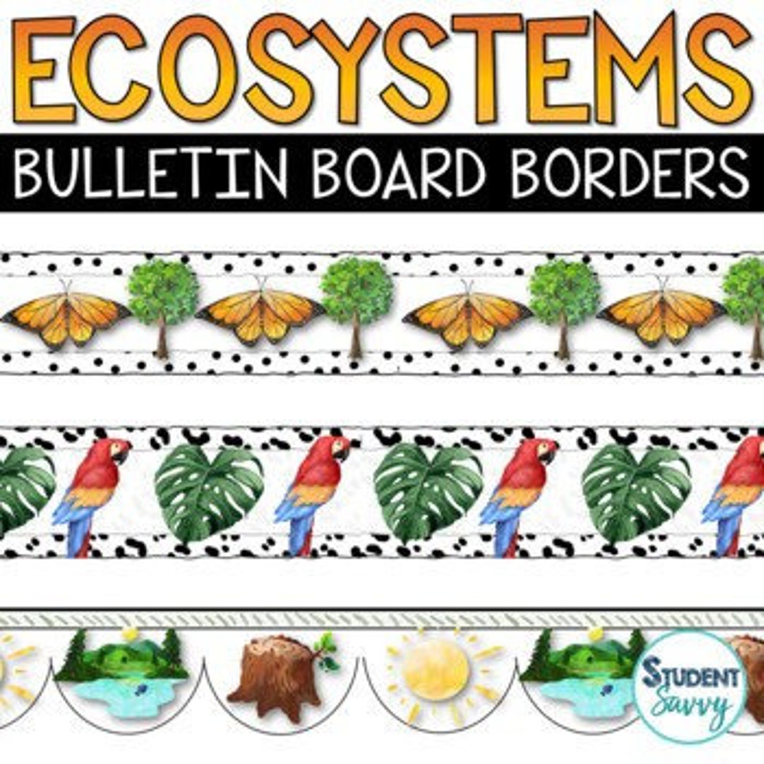 Ecosystems Bulletin Board Borders 5th Grade Classroom Decor Middle ...