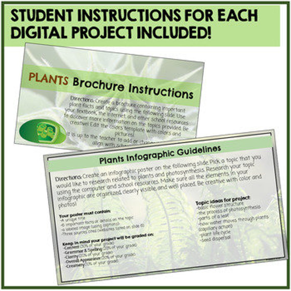 Photosynthesis Projects Google Classroom - Etsy