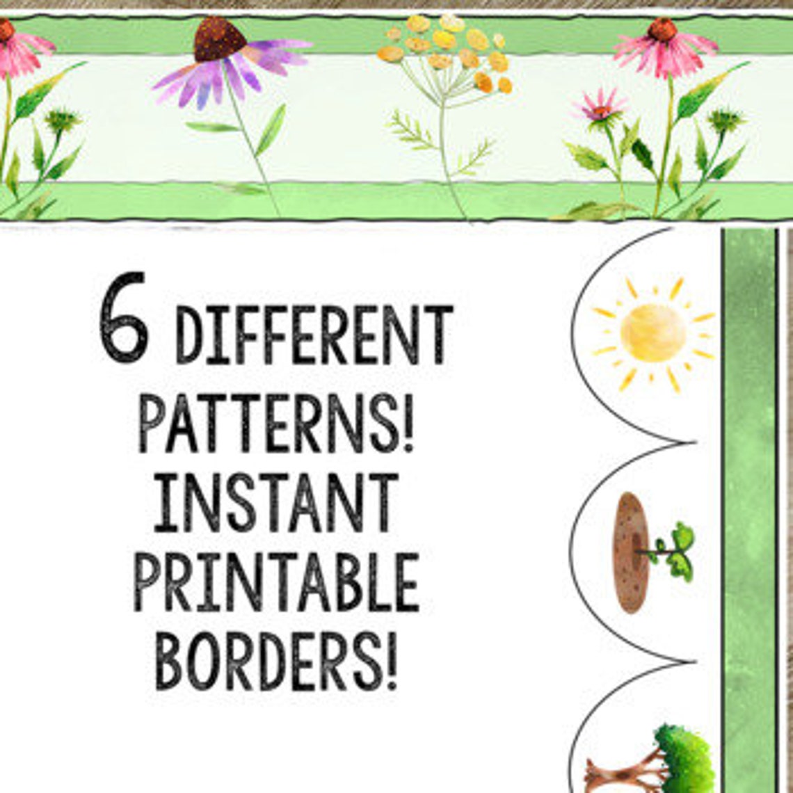 Photosynthesis Bulletin Board Kit Plants Posters Science - Etsy