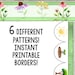Photosynthesis Bulletin Board Kit | Plants Posters | Science Borders ...
