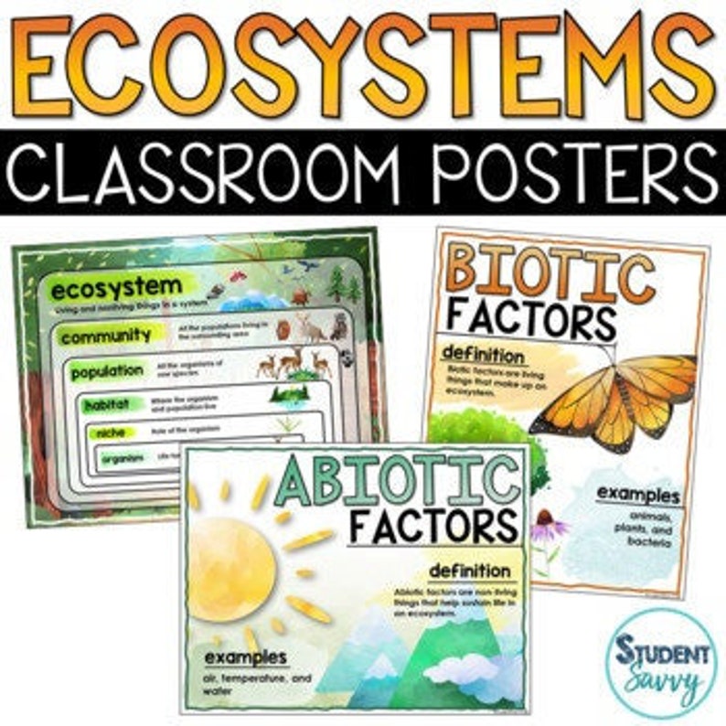 Ecosystems Posters | 5th Grade Ecosystems | Food Web Food Chain Posters ...