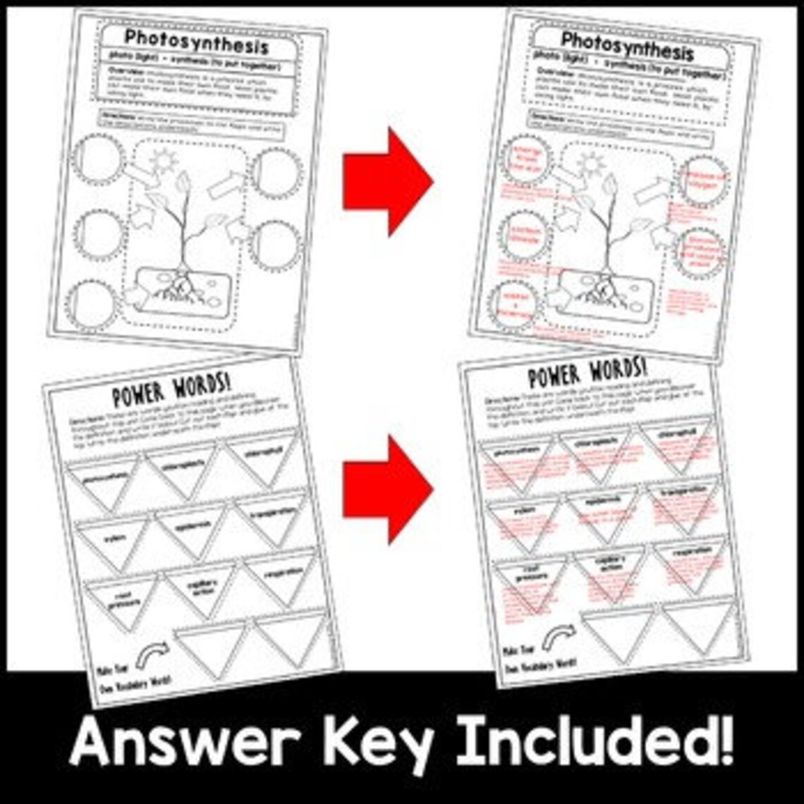 Photosynthesis Interactive Notebook Activities Google Classroom Parts ...