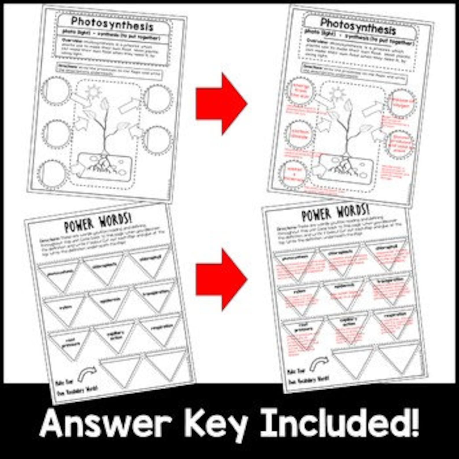 Photosynthesis Interactive Notebook Activities Google Classroom Parts ...