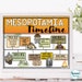 Mesopotamia Posters | Mesopotamia Timeline | Ancient Mesopotamia Map ...