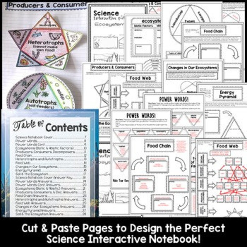 Ecosystems Interactive Notebook Worksheets Food Chain Producers and ...