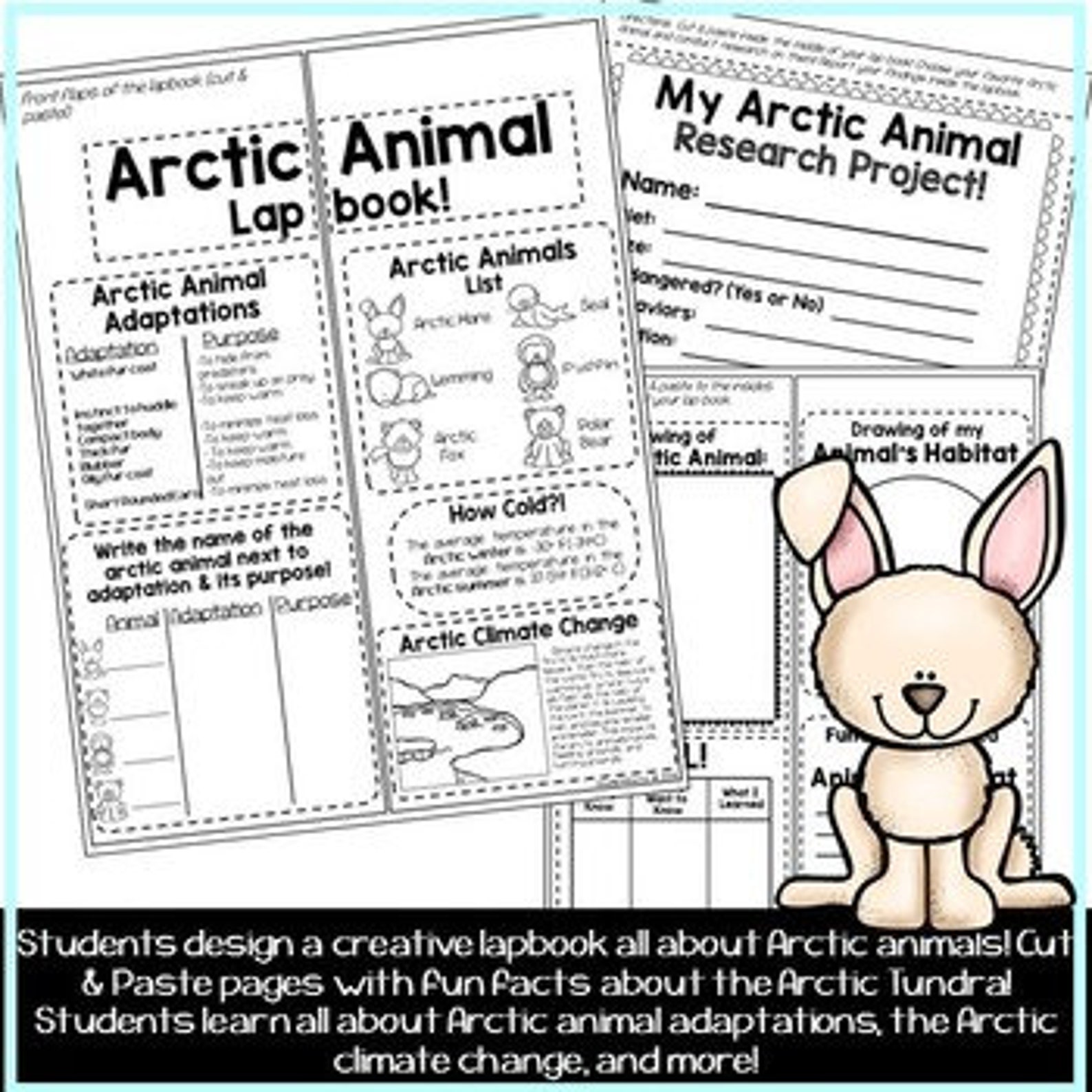 Arctic Animals Lapbook Activity - Adaptations Tundra Biome Research ...