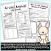 Arctic Animals Lapbook Activity - Adaptations Tundra Biome Research ...
