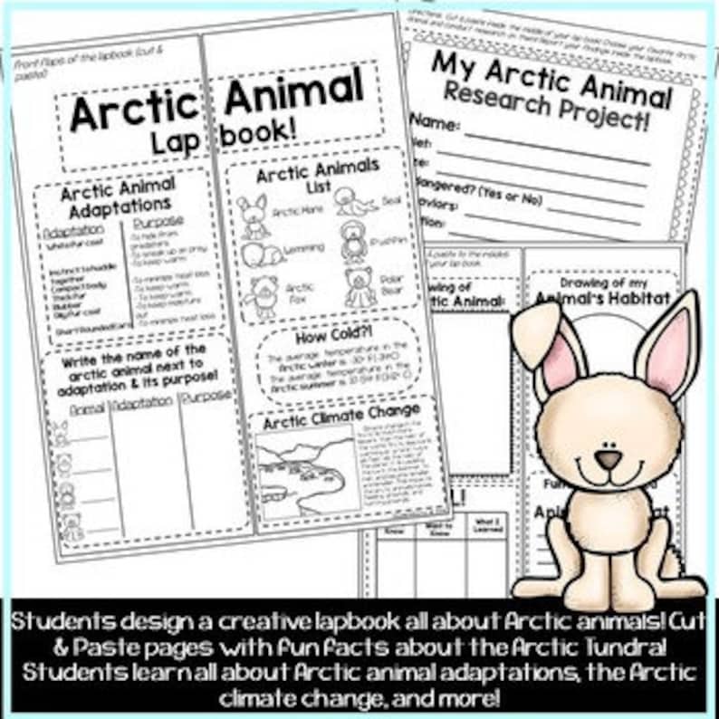 Arctic Animals Lapbook Activity - Adaptations Tundra Biome Research ...