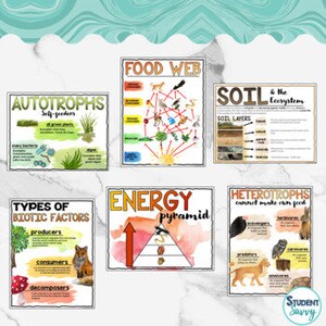 Ecosystems Posters | 5th Grade Ecosystems | Food Web Food Chain Posters ...