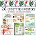 Ecosystems Bulletin Board Kit | Ecosystems Posters | Borders | Banners ...