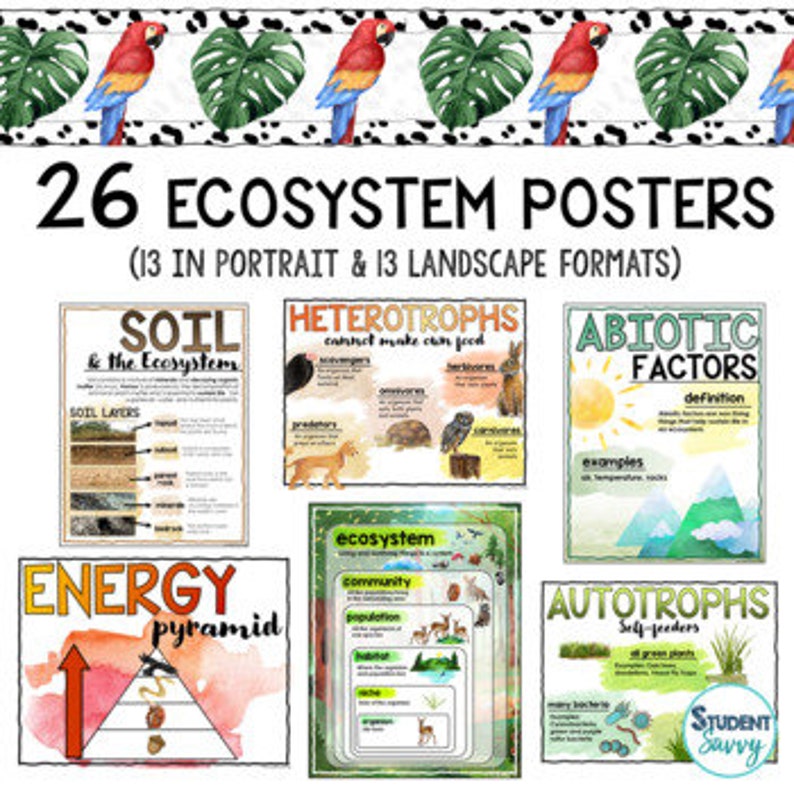 Ecosystems Bulletin Board Kit | Ecosystems Posters | Borders | Banners ...