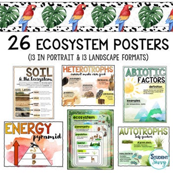 Ecosystems Bulletin Board Kit | Ecosystems Posters | Borders | Banners ...