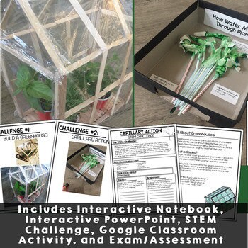 Photosynthesis Activities Bundle Plant Life Worksheets STEM Review - Etsy