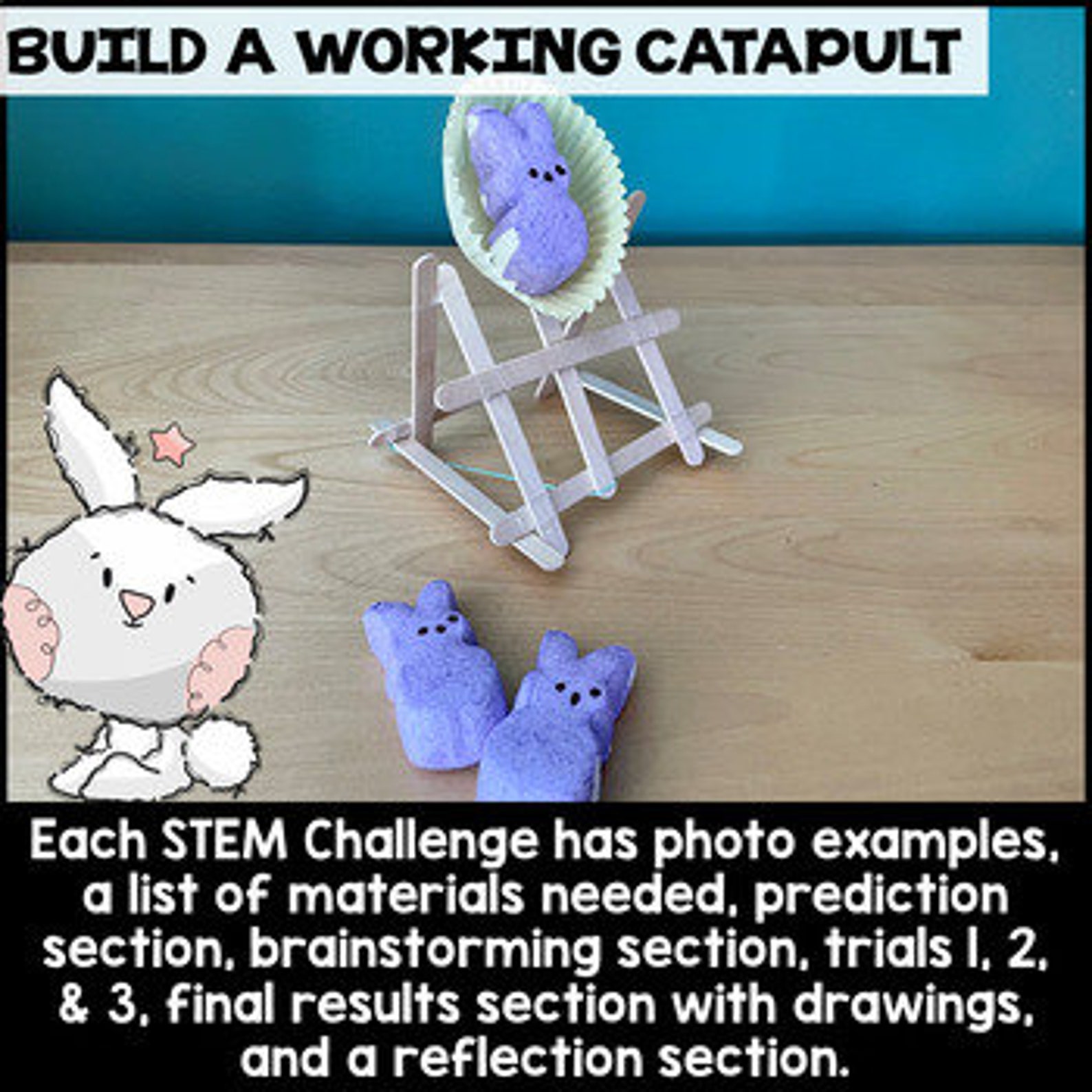 Chinese New Year STEM Challenges 2023 - Year of the Rabbit Activities ...