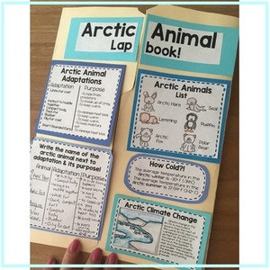 Arctic Animals Lapbook Activity - Adaptations Tundra Biome Research ...