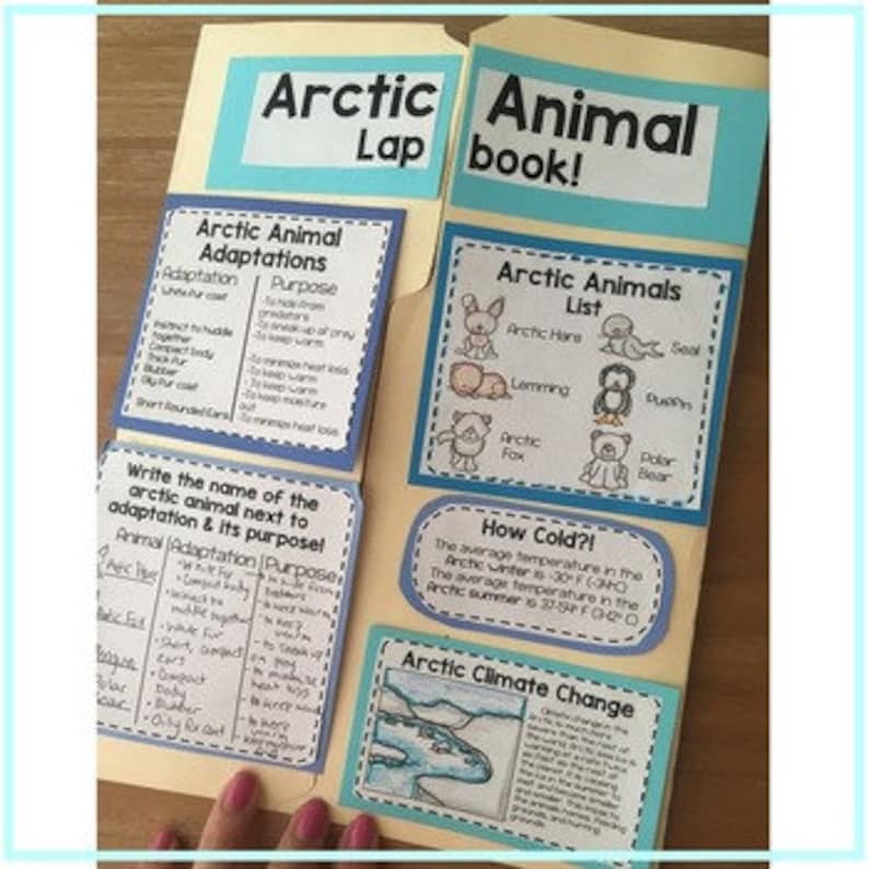 Arctic Animals Lapbook Activity - Adaptations Tundra Biome Research ...