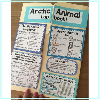 Arctic Animals Lapbook Activity - Adaptations Tundra Biome Research ...