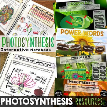 Photosynthesis Activities Bundle Plant Life Worksheets STEM Review - Etsy