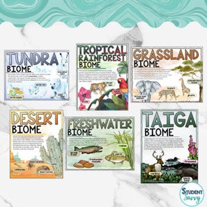 Biomes Posters | Biomes | Science Classroom Decor Taiga Deciduous ...