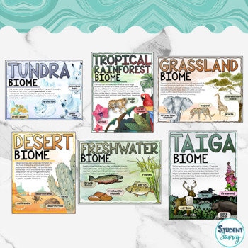 Biomes Posters | Biomes | Science Classroom Decor Taiga Deciduous ...