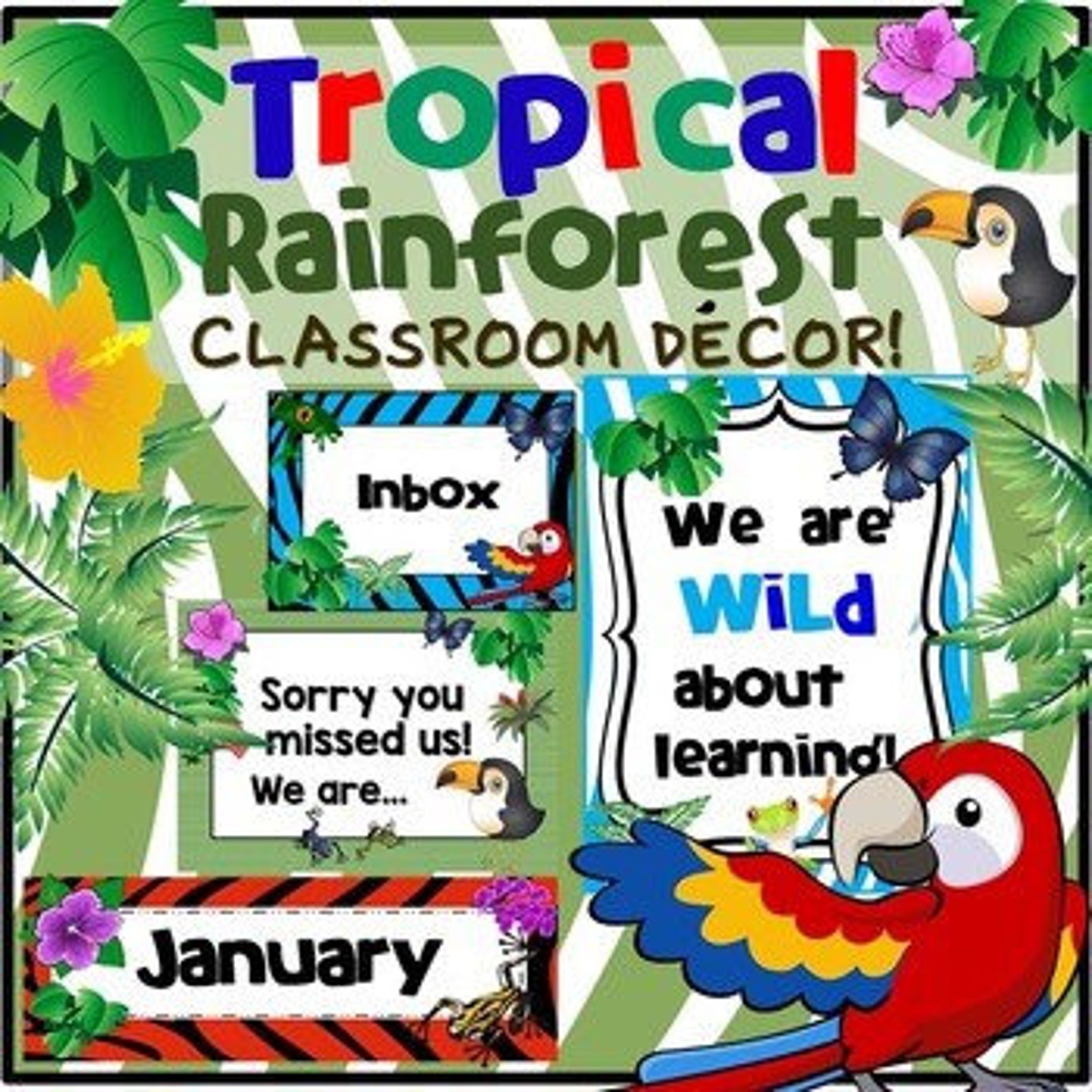 Tropical Rainforest Classroom Decor (editable) Jungle Classroom Decor ...