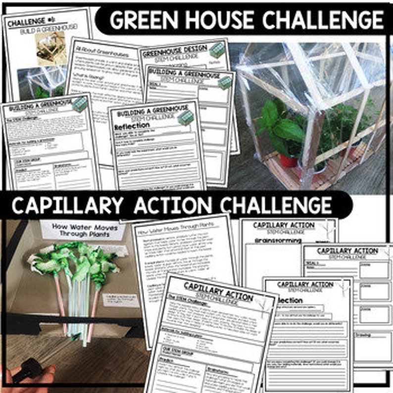 Photosynthesis Activities STEM Challenges - Etsy