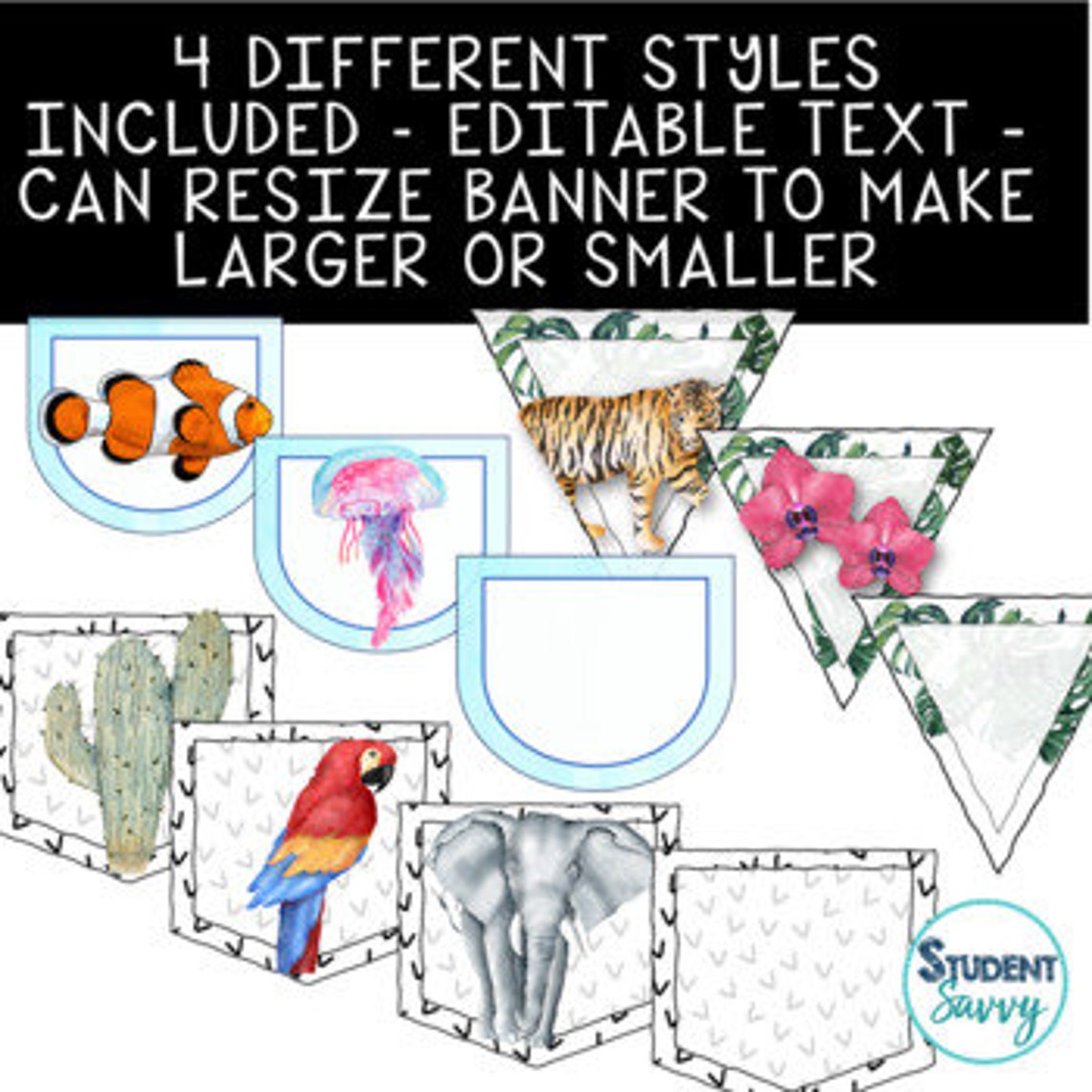 Biomes Bulletin Board Kit | Biomes Posters | Borders | Banners - Etsy