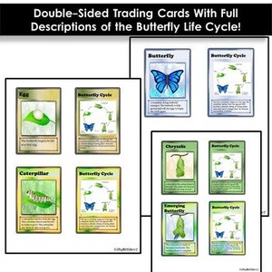 Butterfly Life Cycle - Trading Cards - Etsy