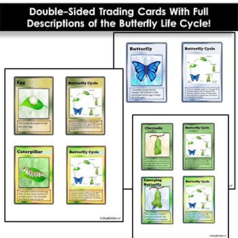 Butterfly Life Cycle - Trading Cards - Etsy