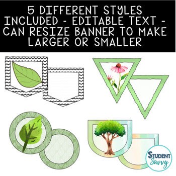 Photosynthesis Bulletin Board Kit | Plants Posters | Science Borders ...
