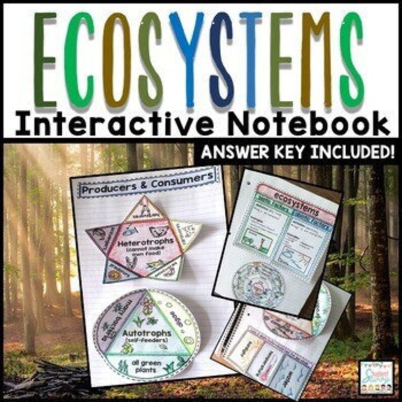 Ecosystems Interactive Notebook Worksheets Food Chain Producers and ...