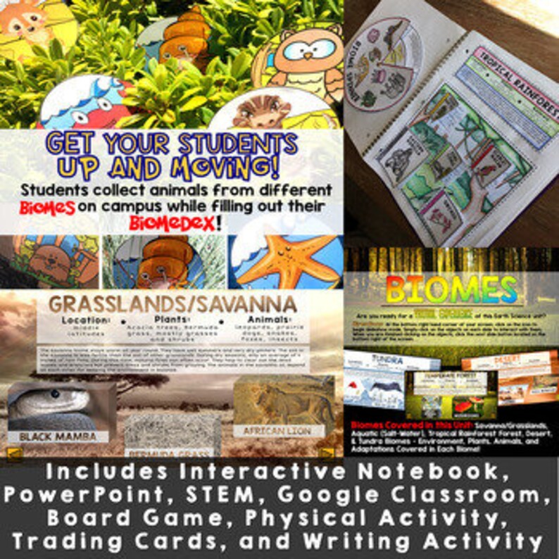 Biomes Activities Resource Bundle - Projects Worksheets STEM Reading ...