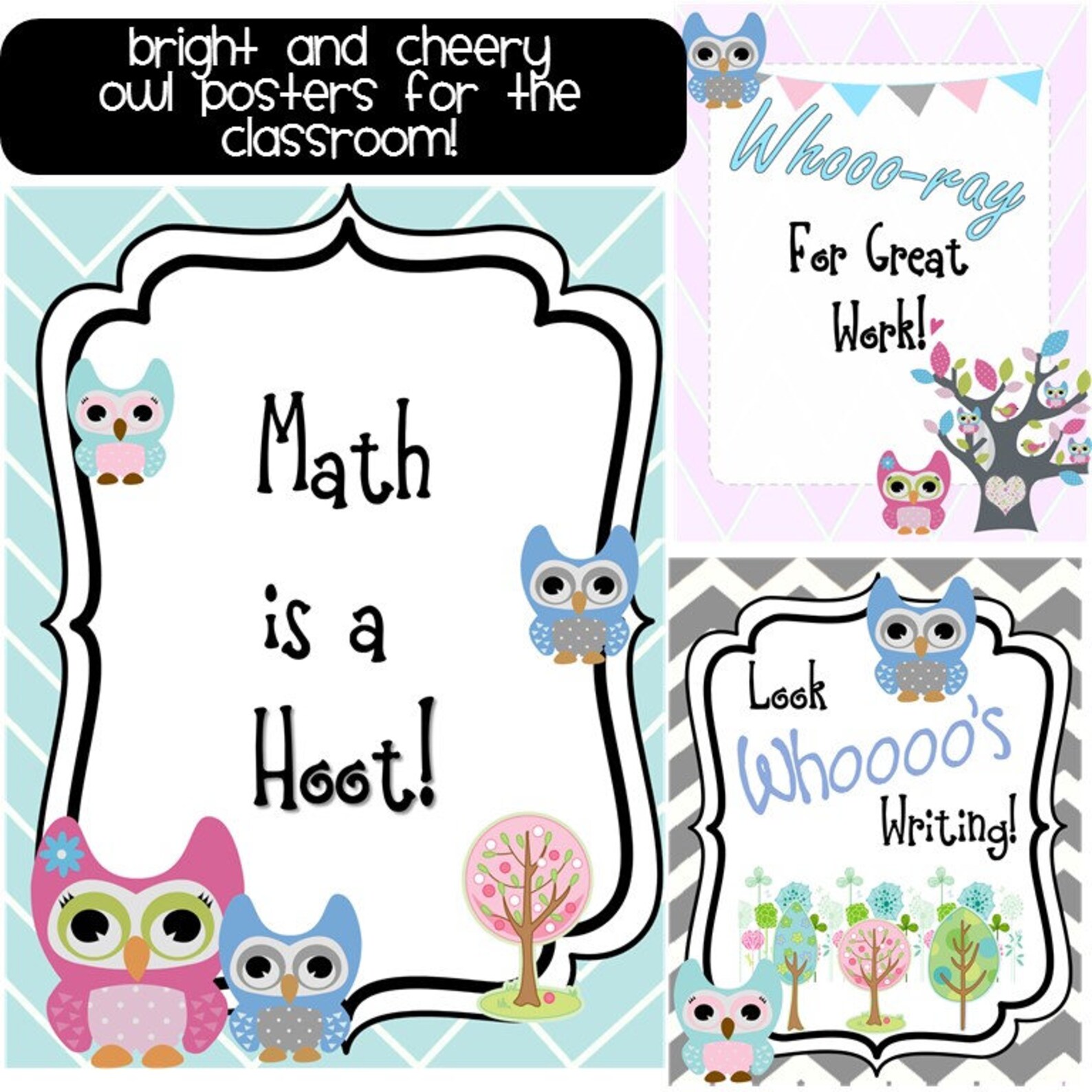 Classroom Decor - Owl Theme - Etsy