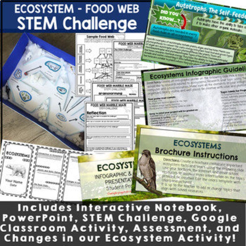 Ecosystems Activities Resource Bundle Project STEM Ecology Food Chain ...