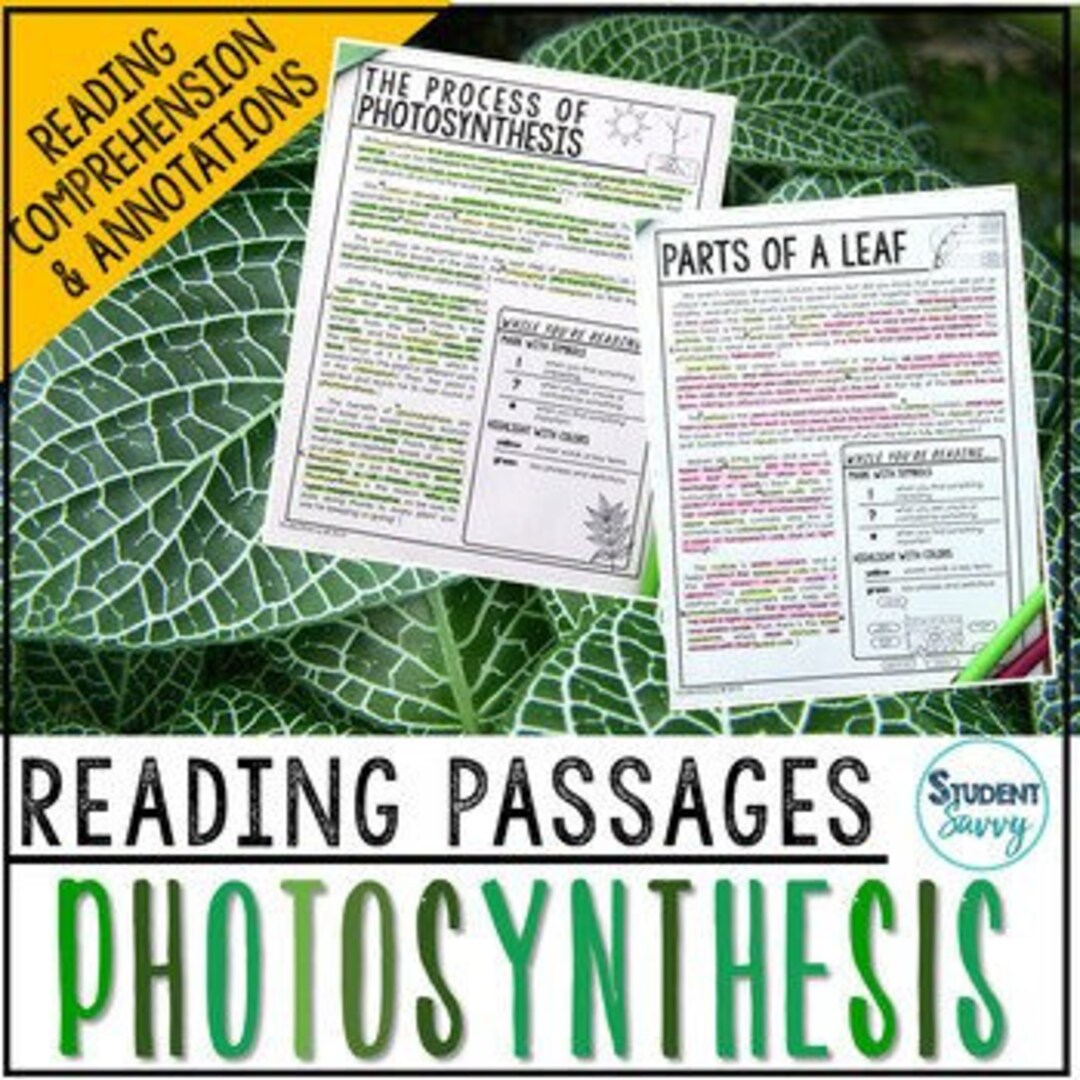 Photosynthesis Reading Passages Questions Annotations - Etsy