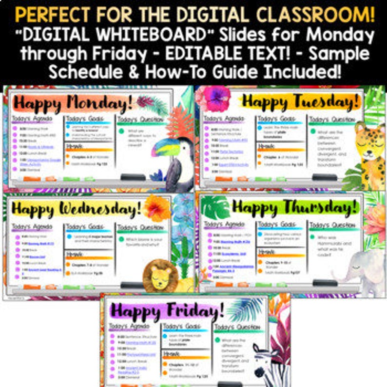 Daily Agenda Template Daily Schedule Google Slides TROPICAL JUNGLE ...