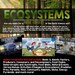 Ecosystems Powerpoint Google Classroom Ecosystem Activities Interactive ...