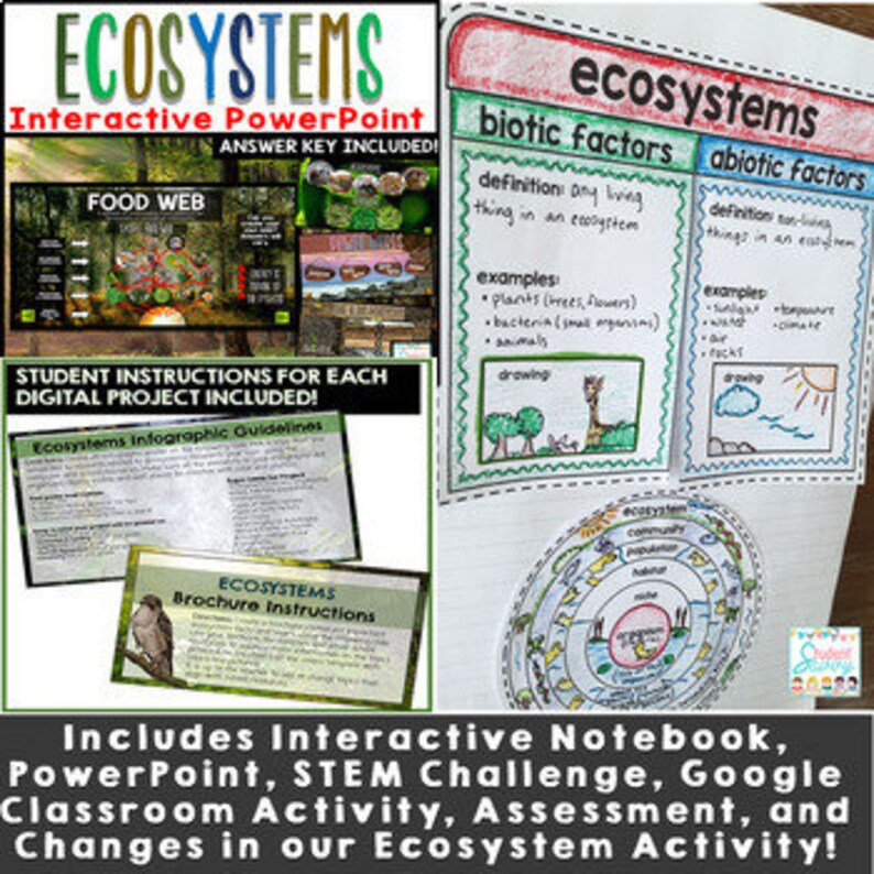 Ecosystems Activities Resource Bundle Project STEM Ecology Food Chain ...
