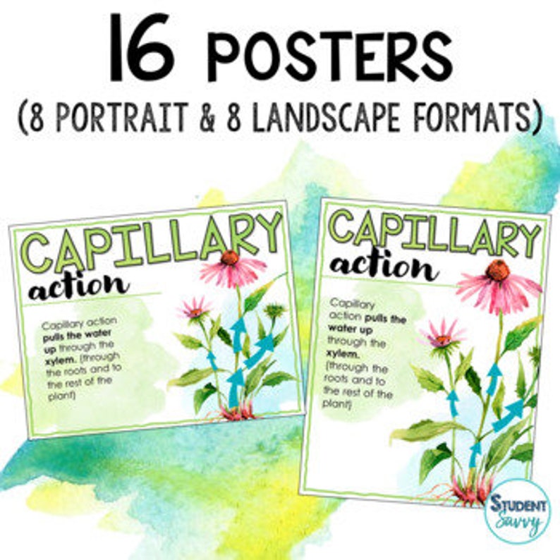 Photosynthesis Posters | Earth Science Classroom Decor | Parts of a ...