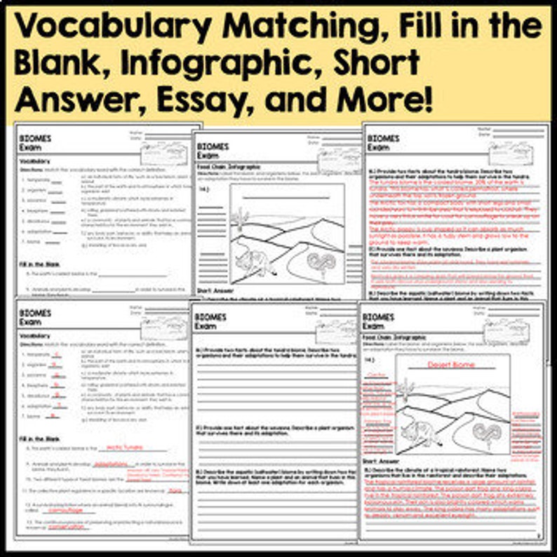 Biomes Exam - Assessment Test Quiz Review - Etsy