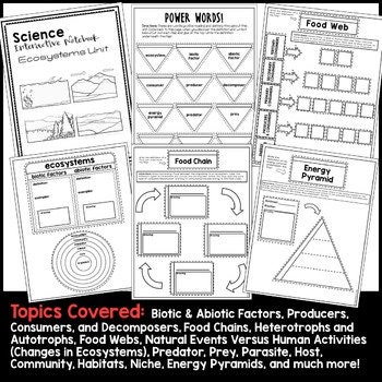 Ecosystems Interactive Notebook Worksheets Food Chain Producers and ...