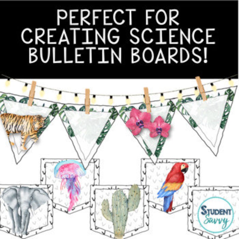 Biomes Banners Printable Biomes Science Classroom Decor Editable - Etsy