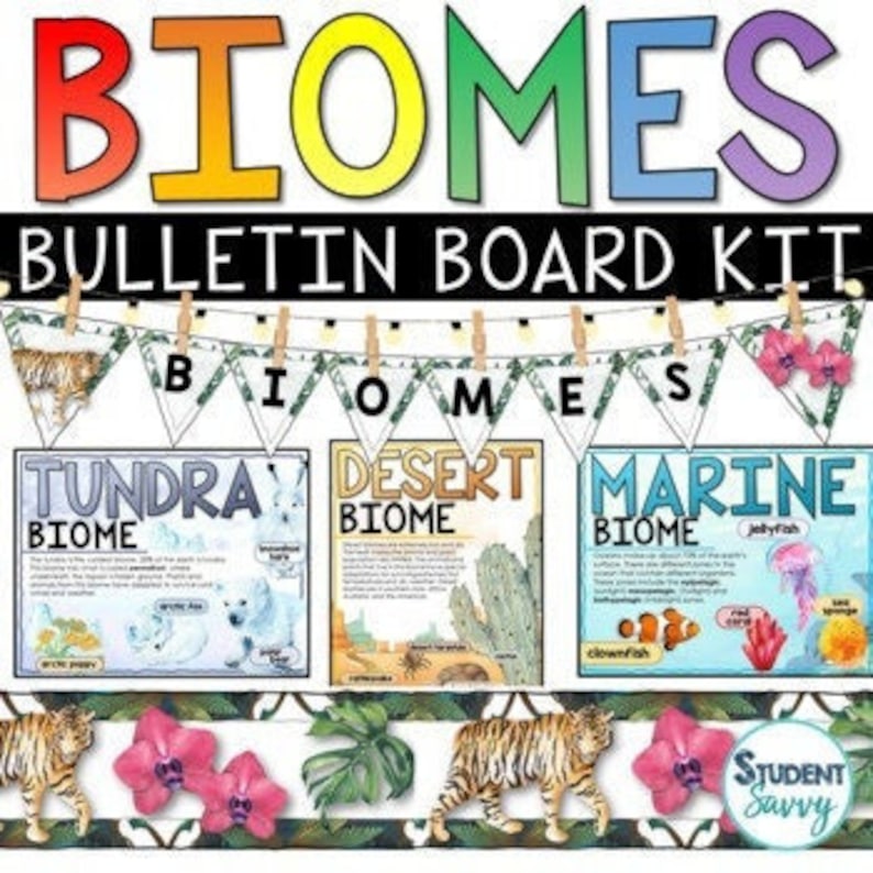 Biomes Bulletin Board Kit | Biomes Posters | Borders | Banners - Etsy