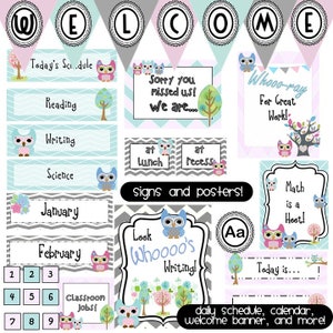 Classroom Decor - Owl Theme - Etsy