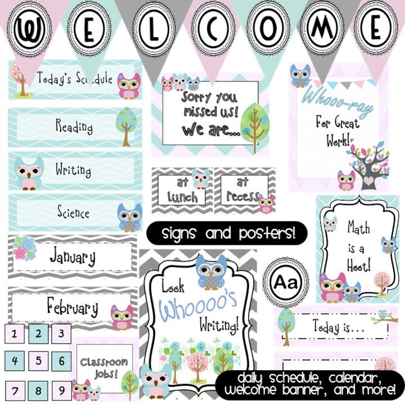 Classroom Decor - Owl Theme - Etsy