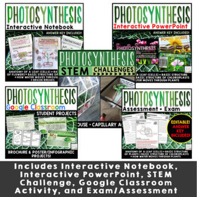 Photosynthesis Activities Bundle Plant Life Worksheets STEM Review - Etsy
