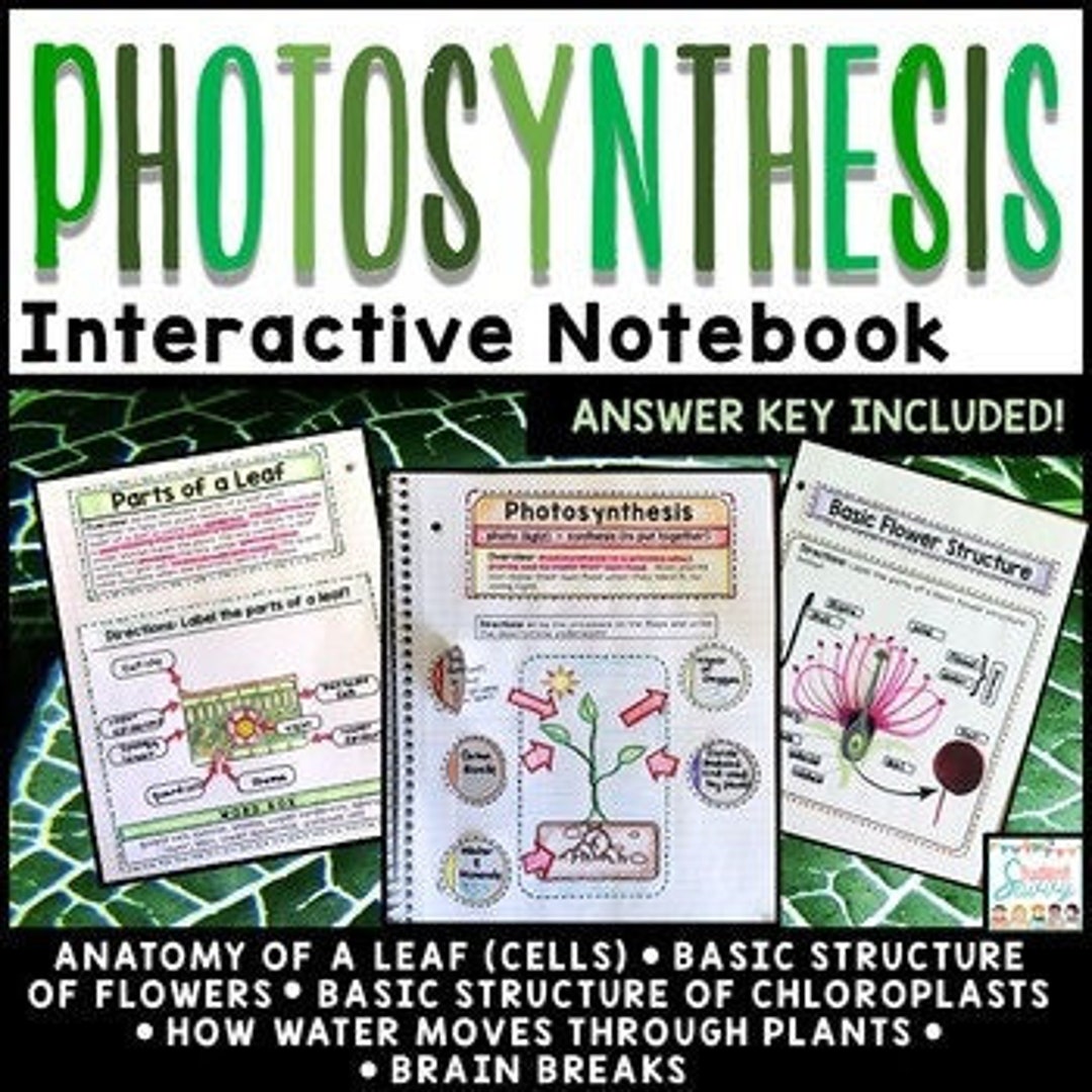 Photosynthesis Interactive Notebook Activities Google Classroom Parts of a Leaf - Etsy